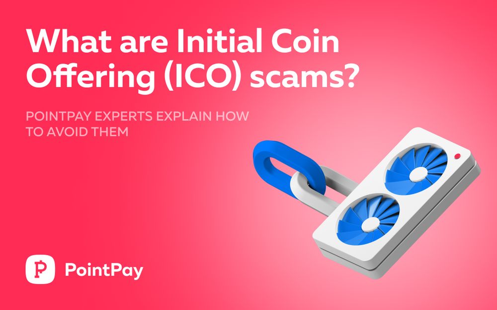 PointPay Experts: What Are Initial Coin Offering (ICO) Scams? How to Avoid Them?