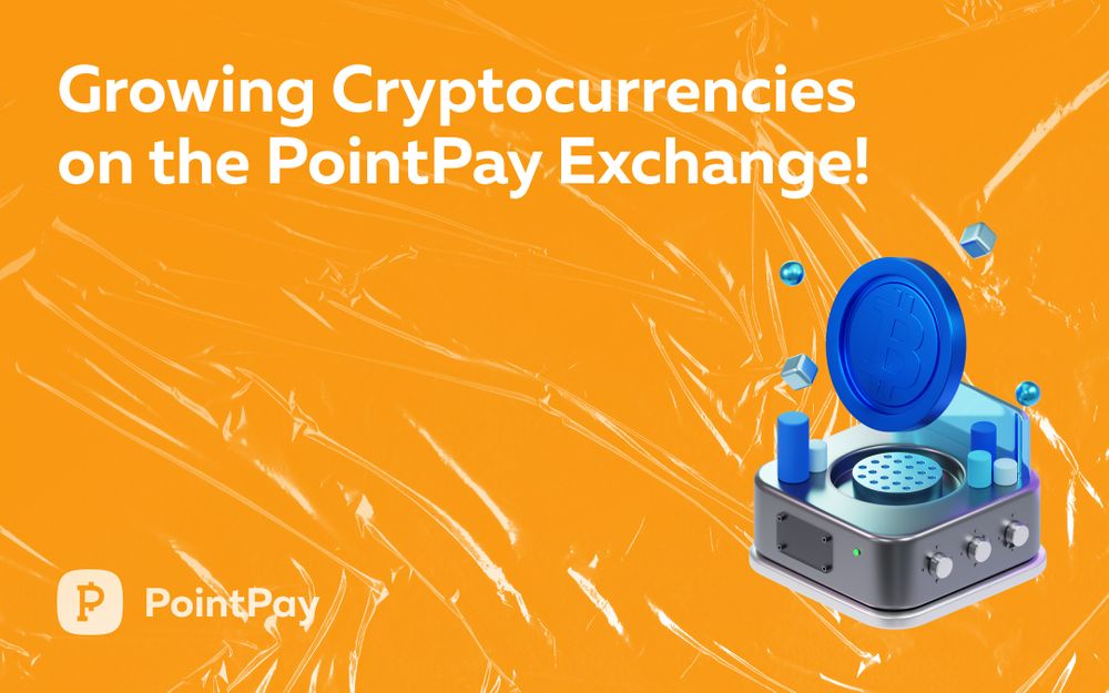 Yearly Performance of Cryptocurrencies on the PointPay Exchange!